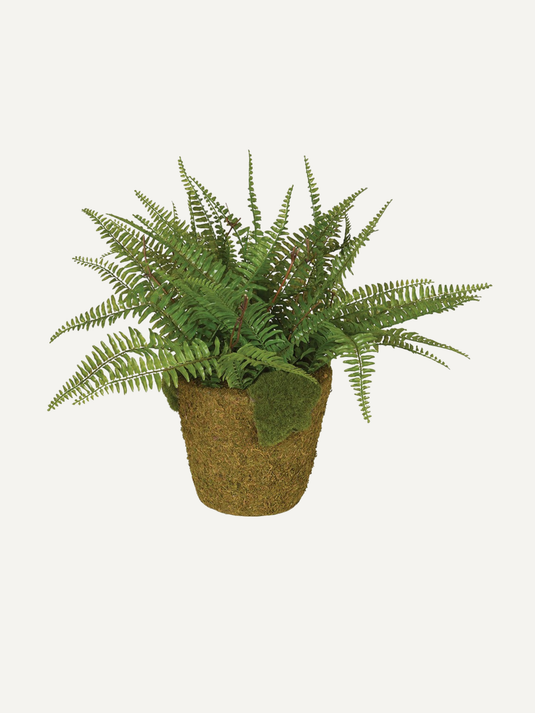 Faux Fern Plant in Moss Covered Pot - Ivy Grey Interiors