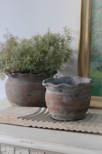 Vintage Pie Crust Plant Pot Planter - Ivy Grey Interiors