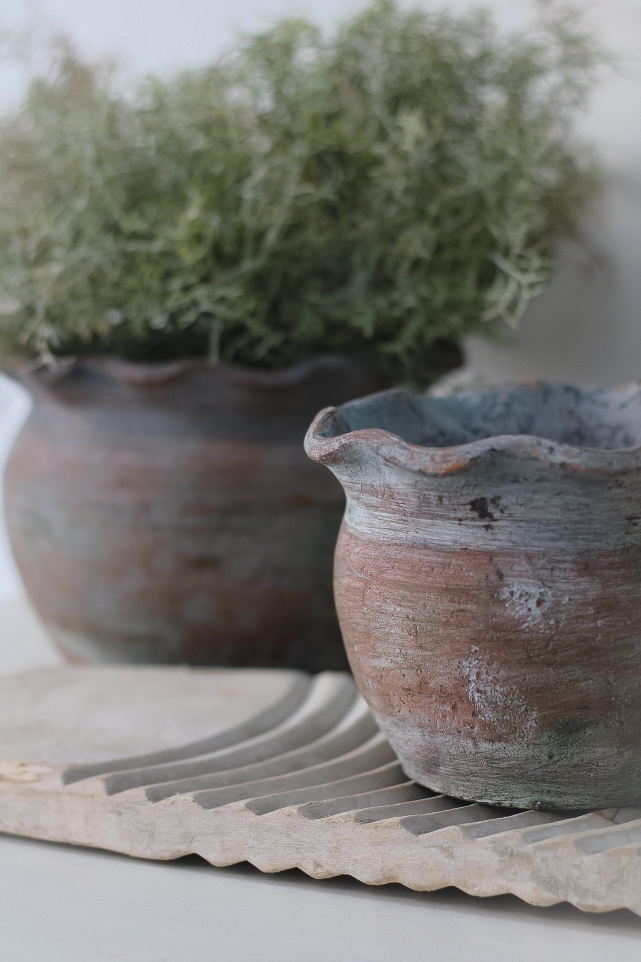 Vintage Pie Crust Plant Pot Planter - Ivy Grey Interiors