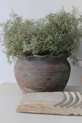 Vintage Pie Crust Plant Pot Planter - Ivy Grey Interiors