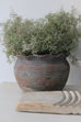 Vintage Pie Crust Plant Pot Planter - Ivy Grey Interiors